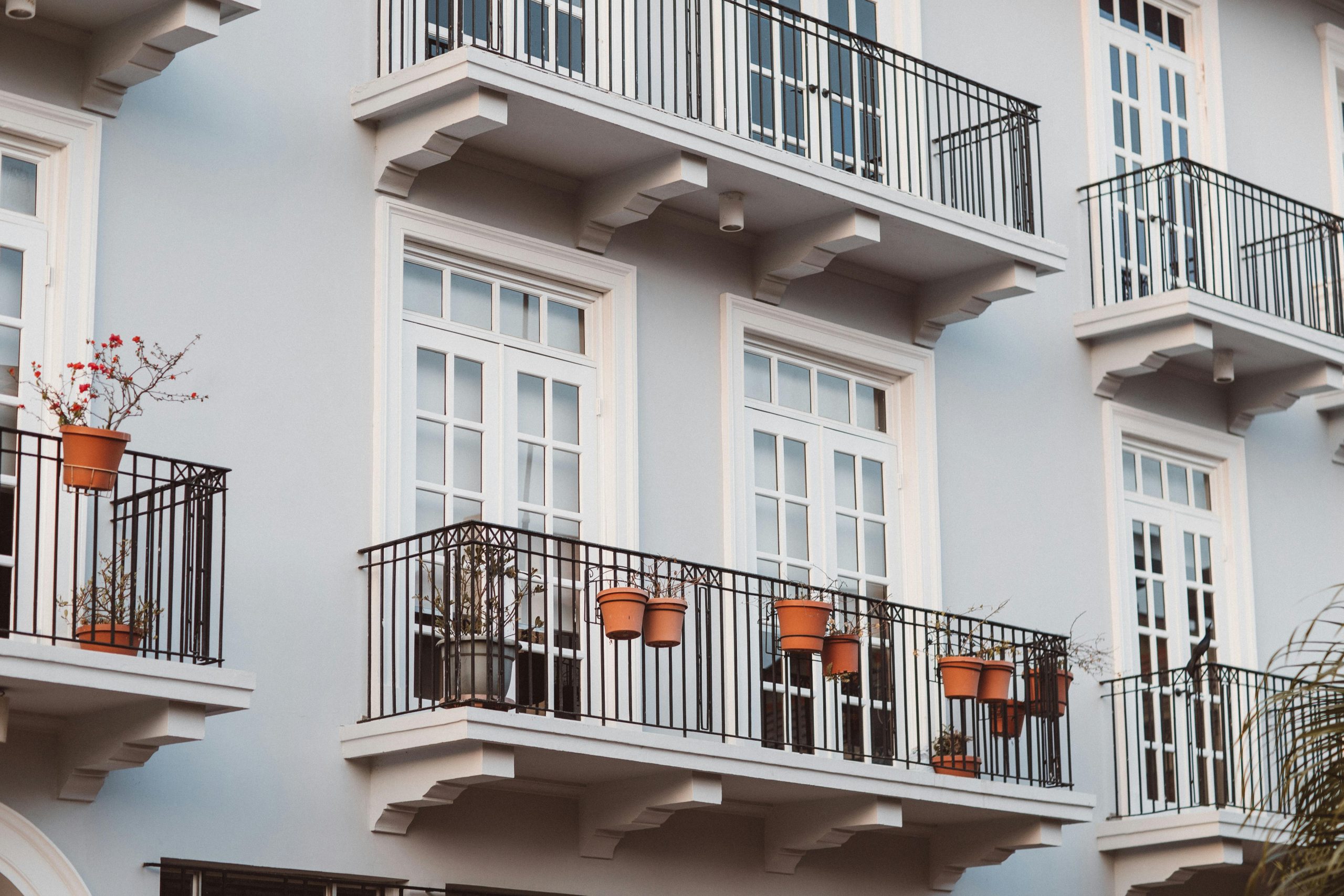 Main Differences Between Strata, Stratum & Company Share... | Your ...
